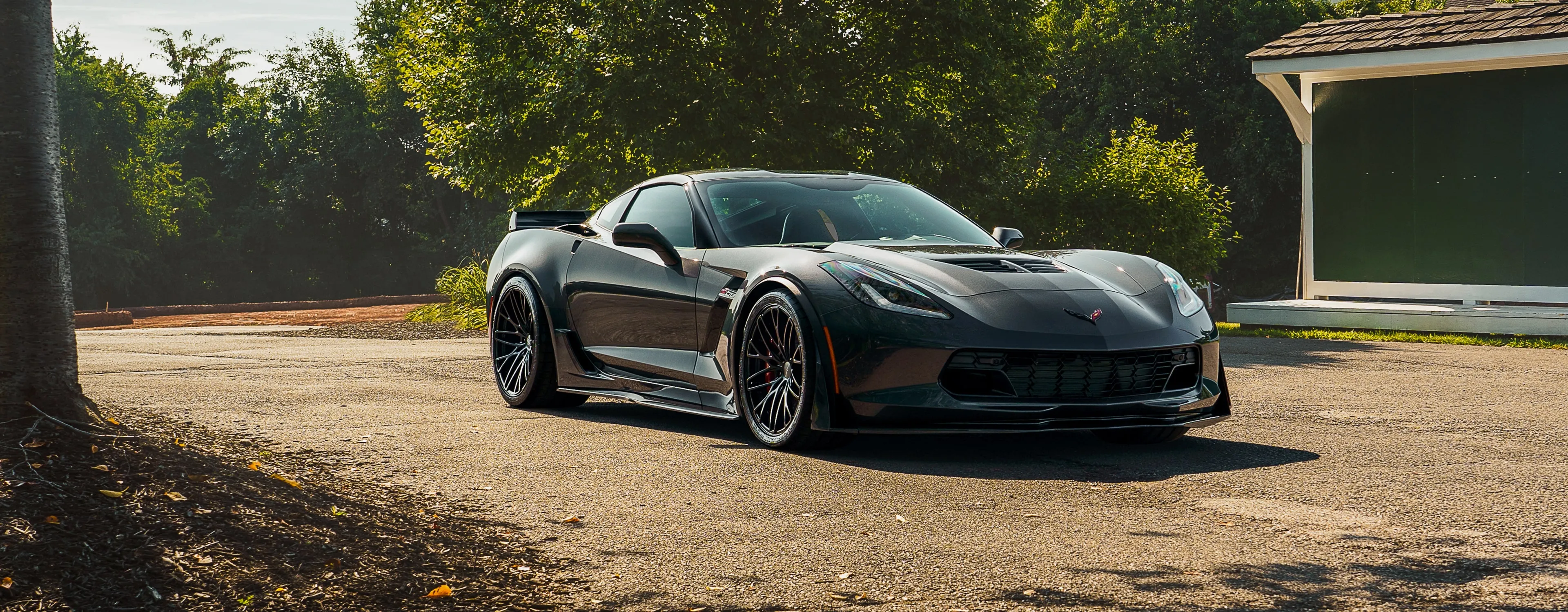 Cray for TOYOTA Tacoma 2000 DLX